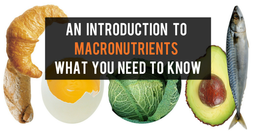An Introduction To Macronutrients What You Need To Know Storm