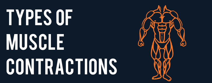 Types Of Muscle Contractions Storm Fitness Academy